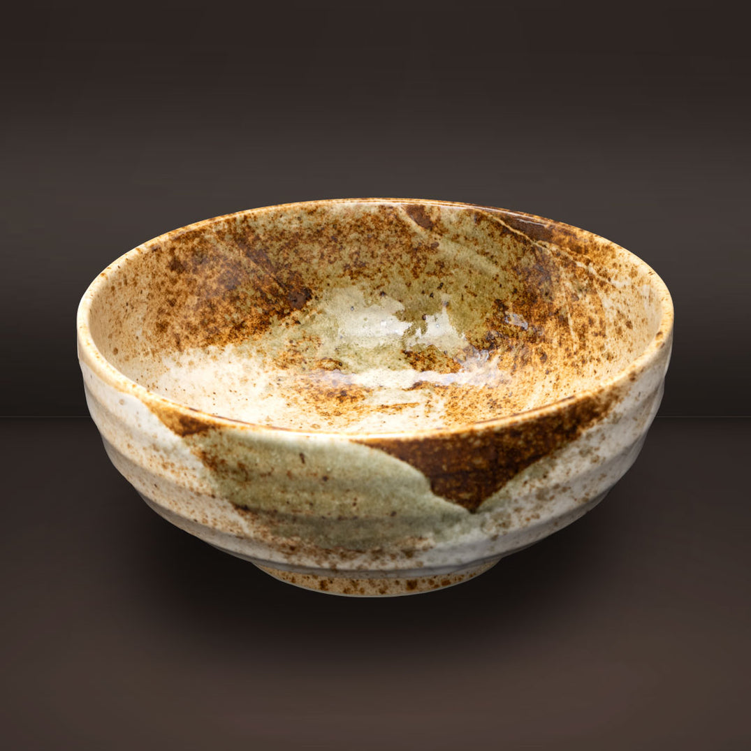 Made in Japan > Dinnerware — MTC Kitchen